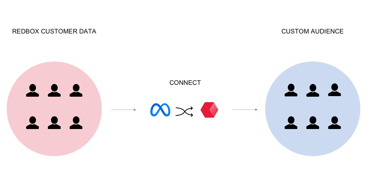 Meta Audiences & Ads